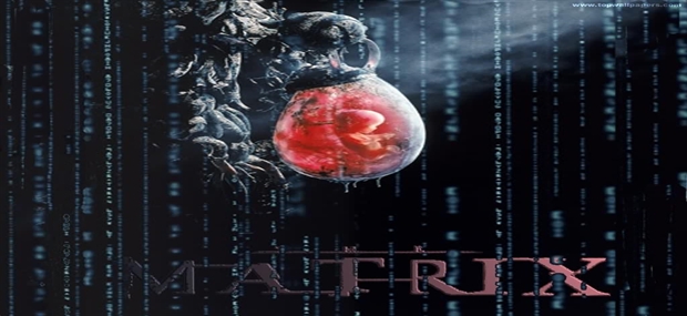 How Much Time Do Americans Spend Plugged into the Matrix Every Day ...