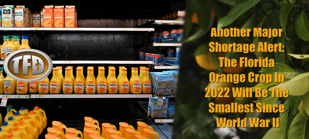 Another Major Shortage Alert: The Florida Orange Crop In 2022 Will Be ...