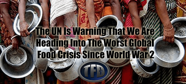 The UN Is Warning That We Are Heading Into The Worst Global Food Crisis ...