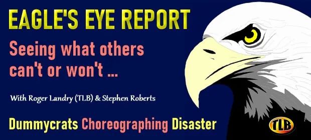 Eagle’s Eye Report: Dummycrats Choreographing Disaster - The Falling ...