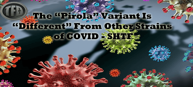The “Pirola” Variant Is “Different” From Other Strains of COVID - SHTF ...