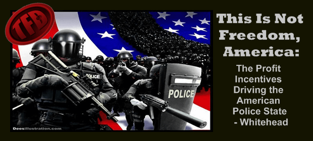 This Is Not Freedom, America: The Profit Incentives Driving the ...