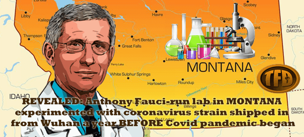 REVEALED: Anthony Fauci-run lab in MONTANA experimented with ...