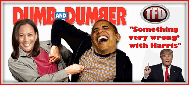 "Something very wrong’ with Harris" – Trump - The Falling Darkness